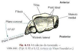 Sintonize na Radiologia: Membros Superiores e Inferiores