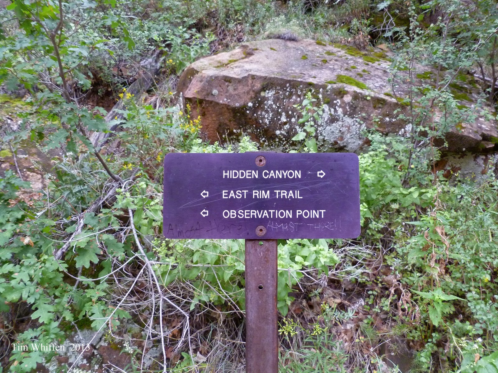 Around the Bend Friends ®: Observation Point & Hidden Canyon - Zion ...