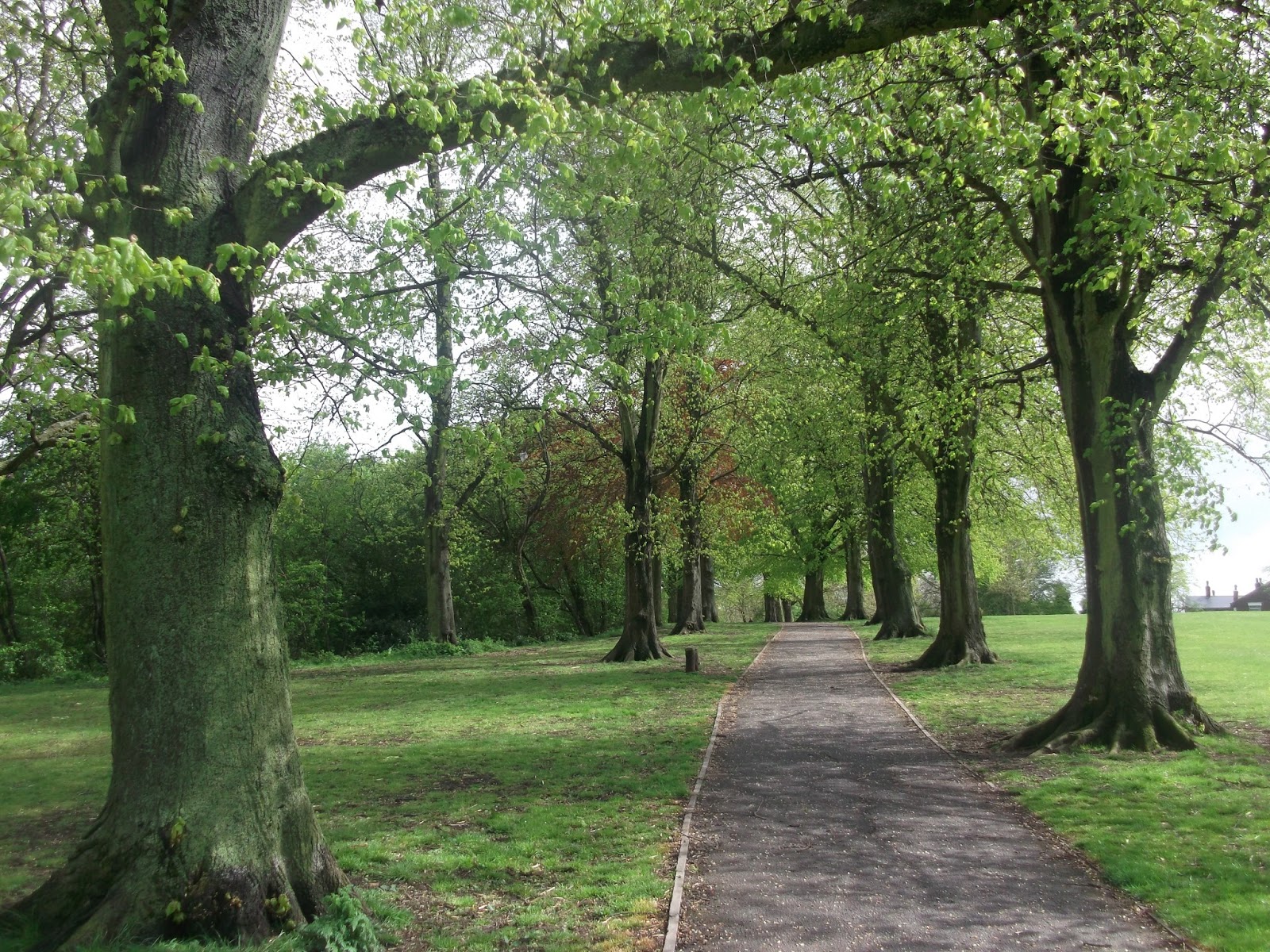 A Brummie's Guide to Birmingham: Cotteridge Park