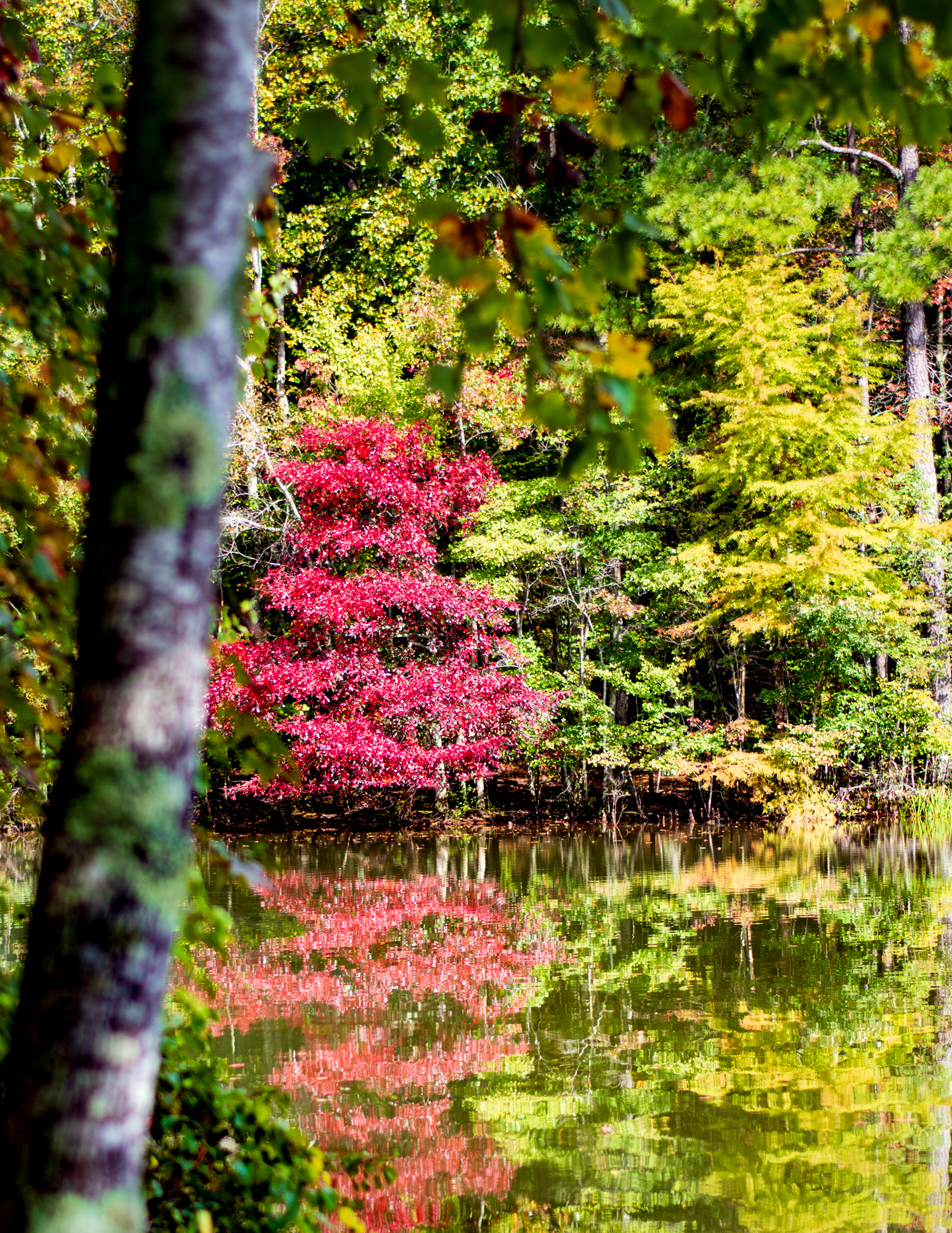 EXPLORING ALABAMA || GREEN MOUNTAIN | Brettni Brumfield