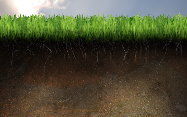 Professional Photography: Soil Draw Photoshop cs5