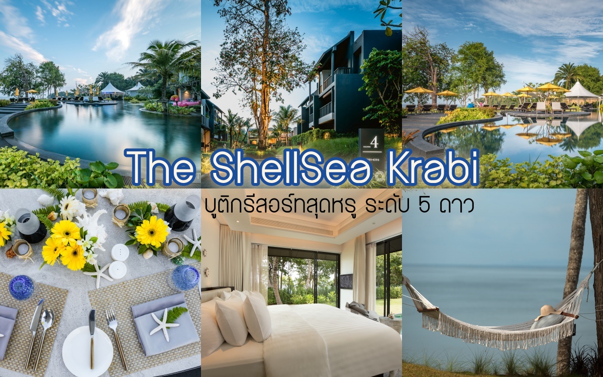 The ShellSea Krabi บูติกรีสอร์ทสุดหรู เหนือระดับ ~ InsightoutStory.com