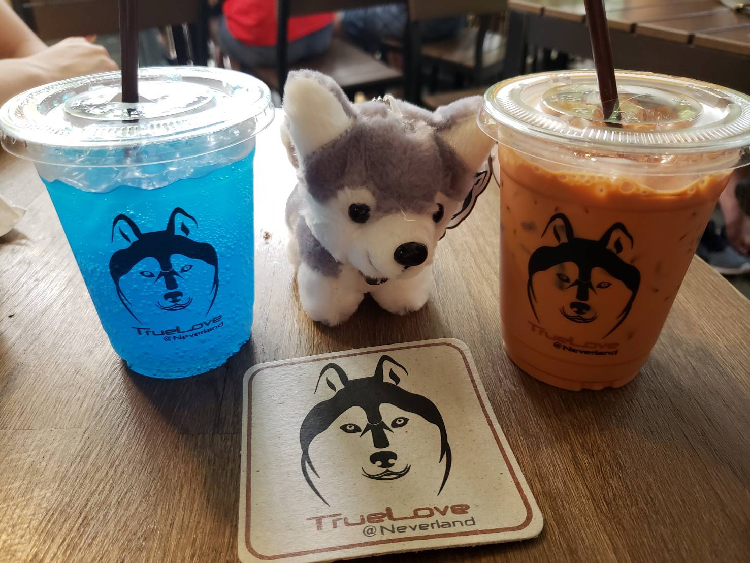 海島遊 -All about island: Thailand Bangkok True love Café/ Husky Café in ...
