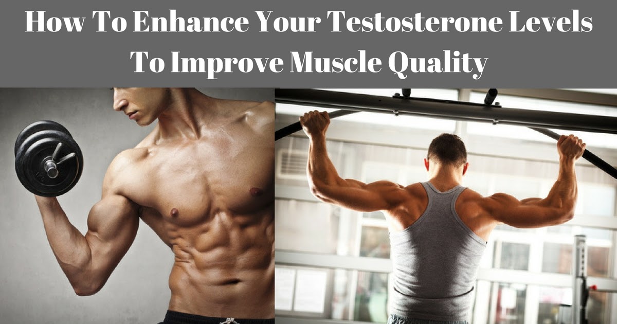 How To Enhance Your Testosterone Levels To Improve Muscle Quality ...