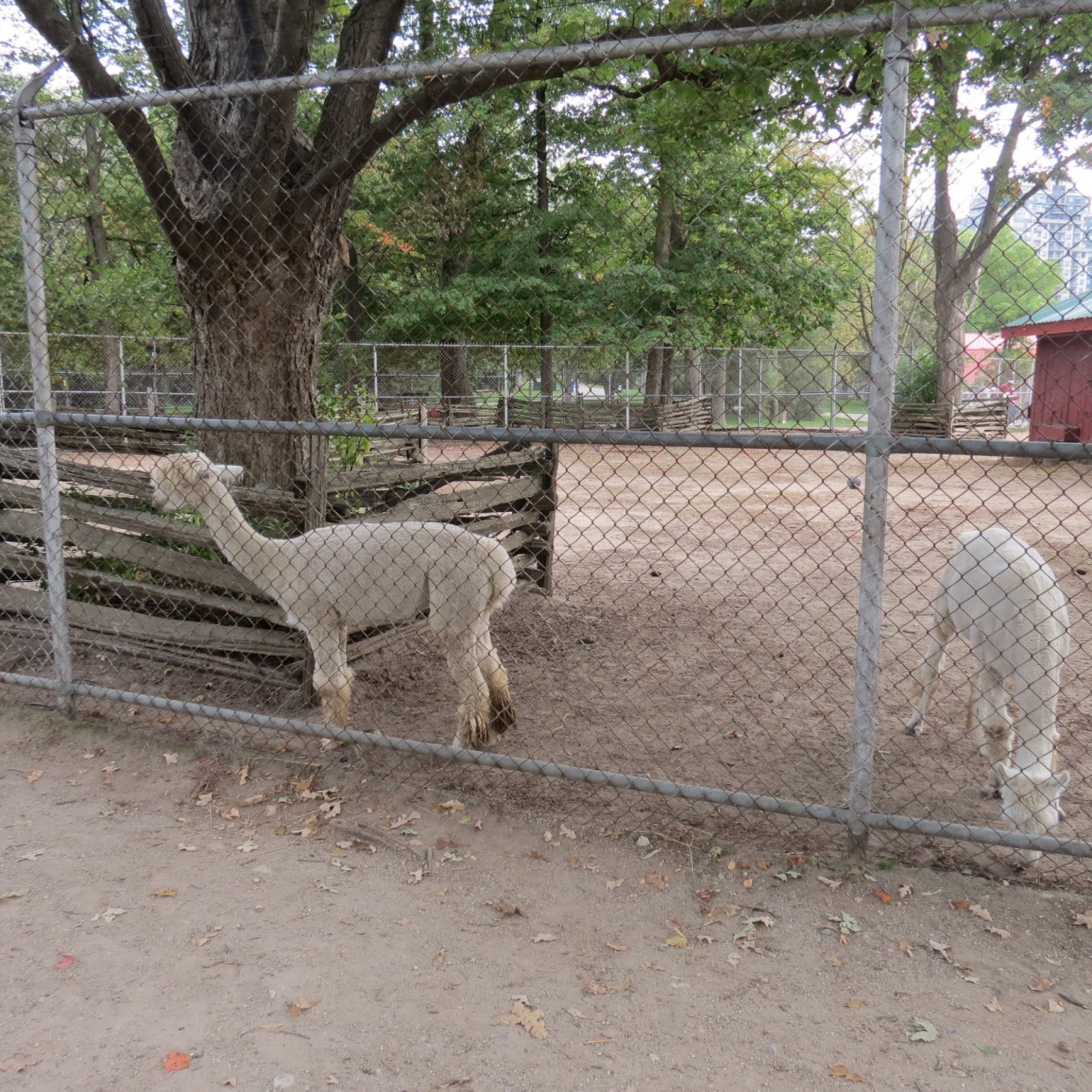 Adventures in PEI and Beyond!: A Place for Everyone - Waterloo Park ...