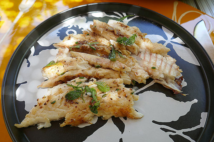 AAA ACCADEMIA AFFAMATI AFFANNATI: Pesci. Di tutto un po'