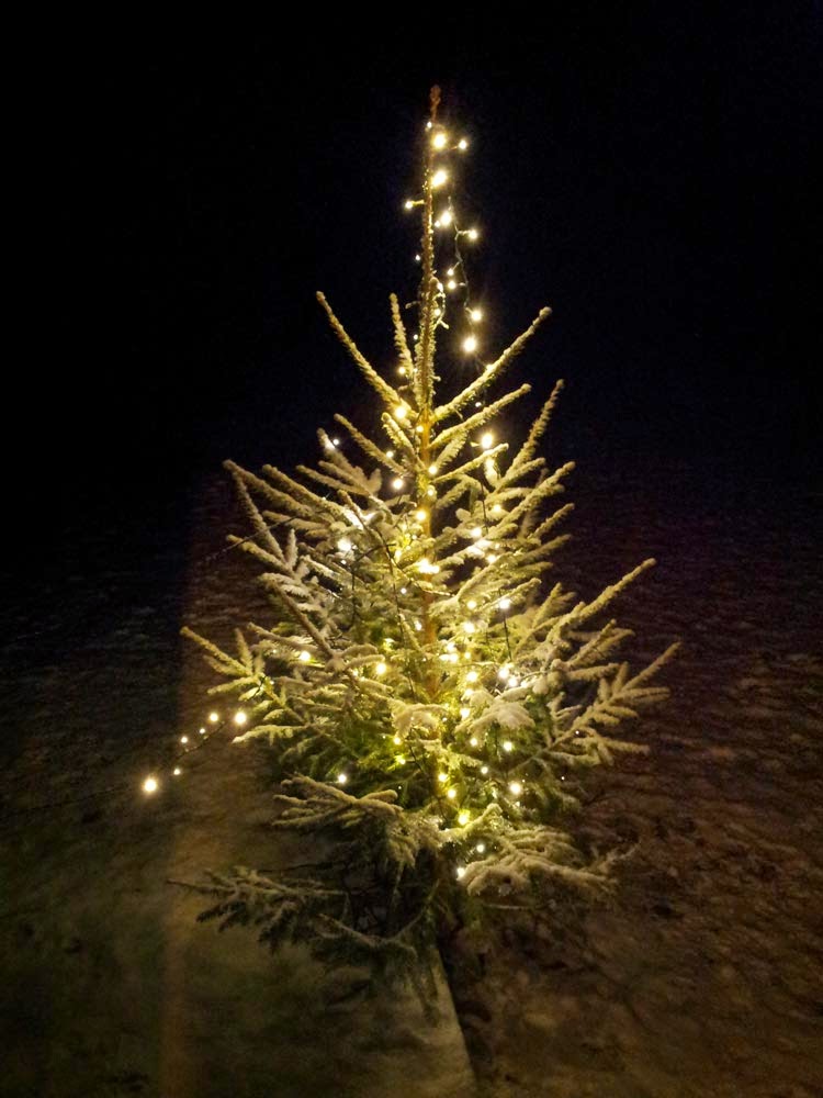 Prosjekt Buøen: Godt nyttår!