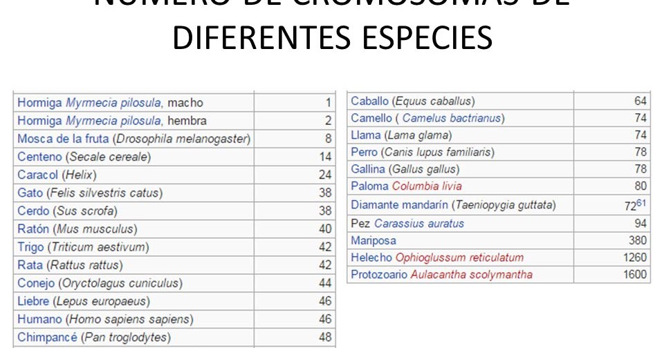 Inmunogenética: TÉRMINOS GENÉTICOS Y NOMENCLATURA