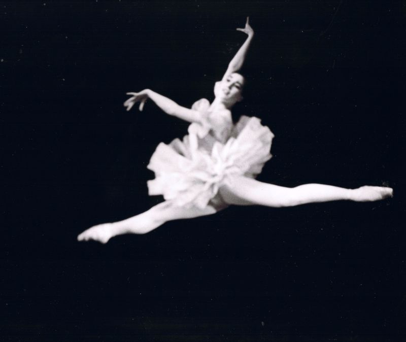 Dutch National Ballet: 47 Pictures That Capture Performing Dancers in ...