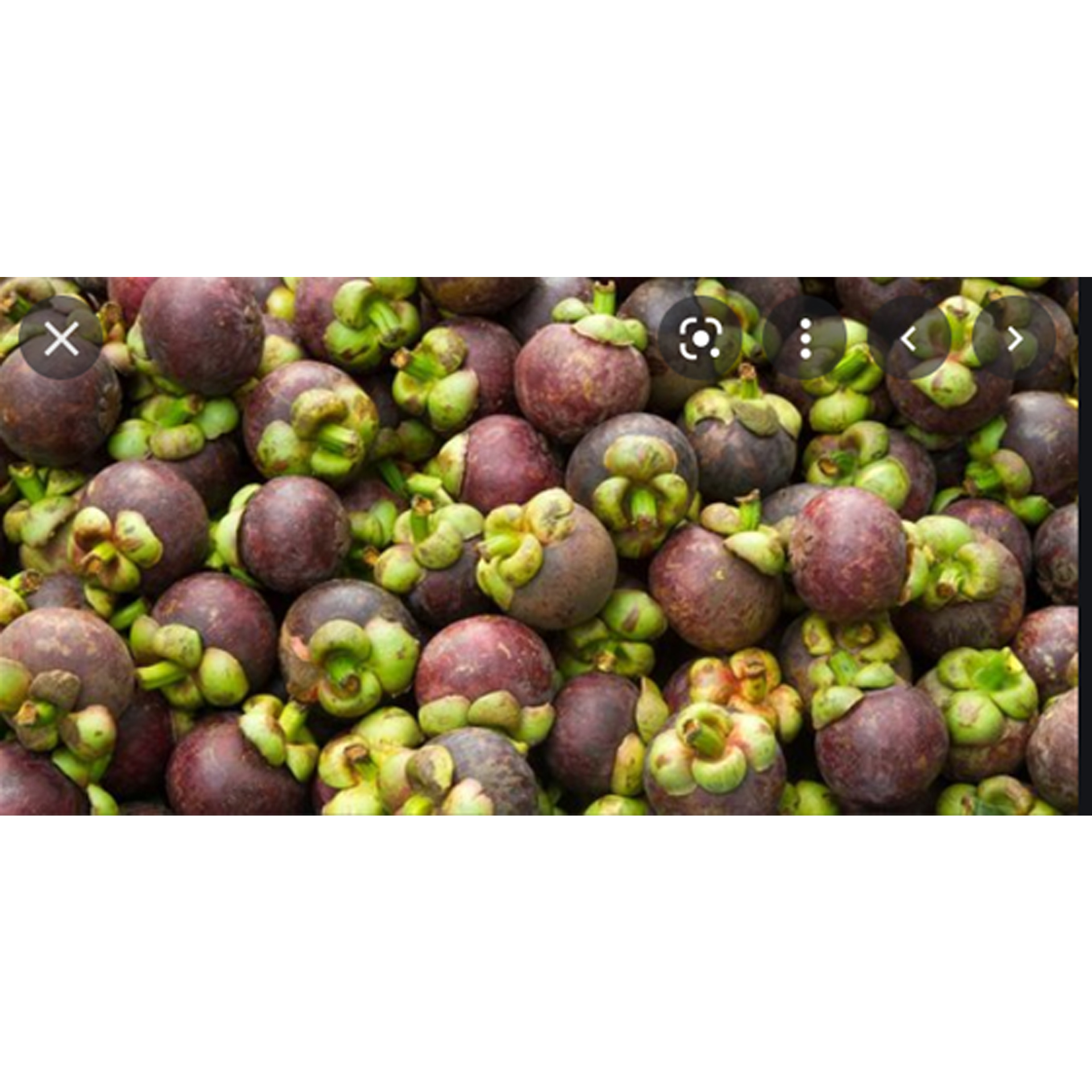 MANGGIS ~ PT. Ammar Agro Industri ( AAI )