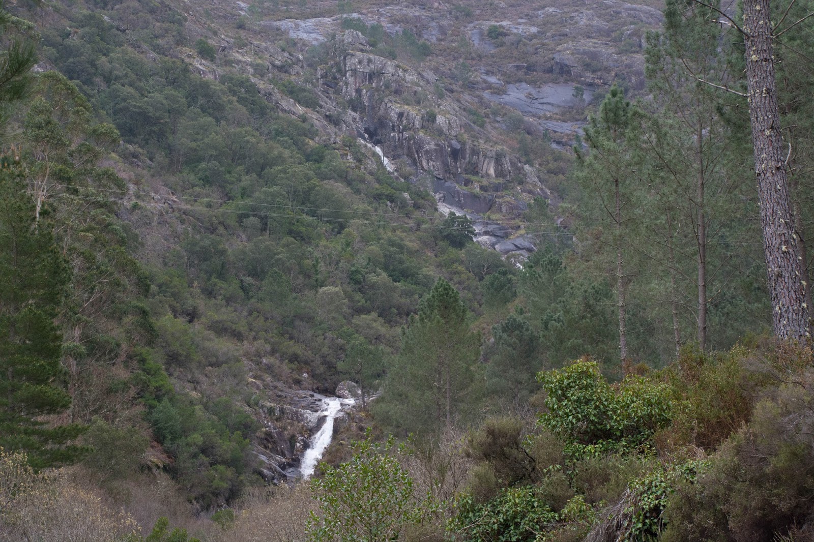 FERVENZAS DE GALICIA: CORGA DA FECHA