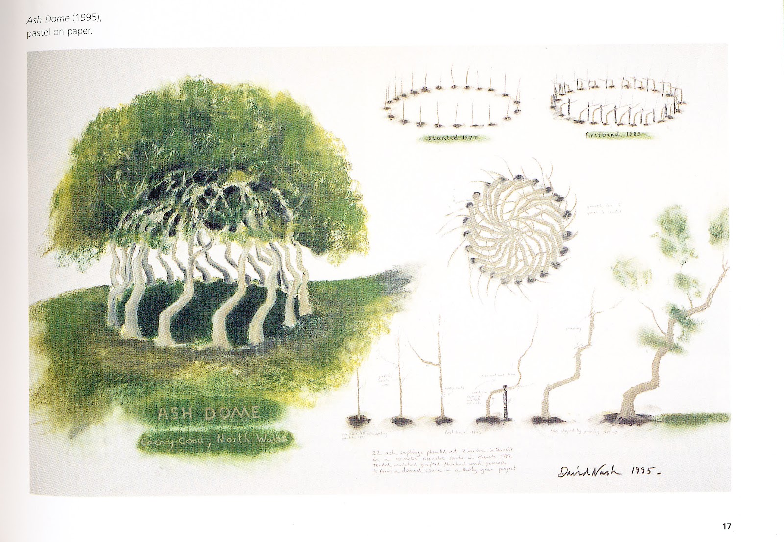 ARTiculation: David Nash at Kew: Art exhibition review