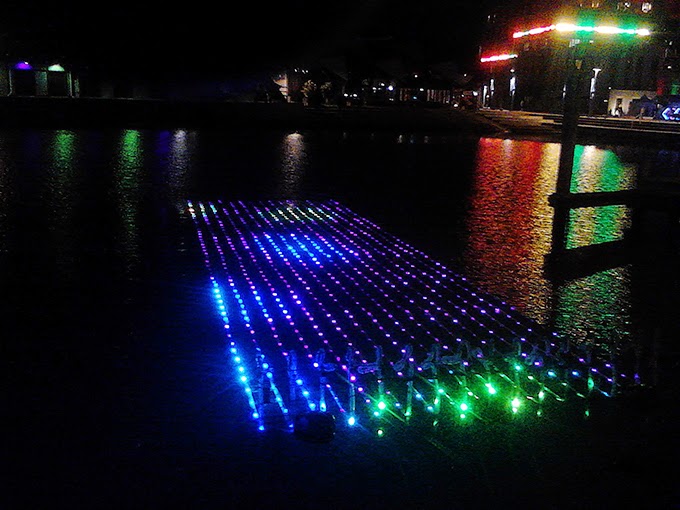 Phasmatodea: The Light Fantastic