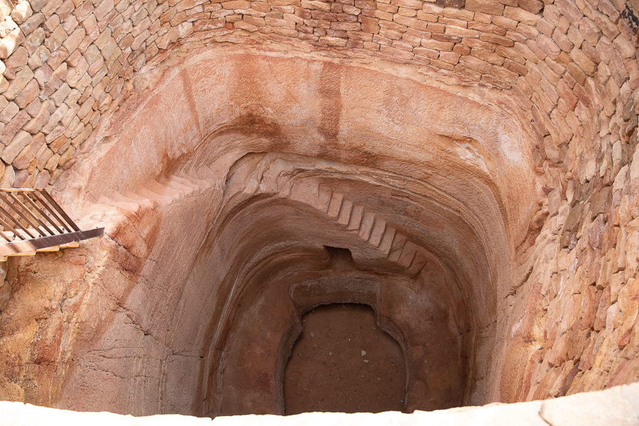 Birds of Saudi Arabia: Sisra Well – Sakaka