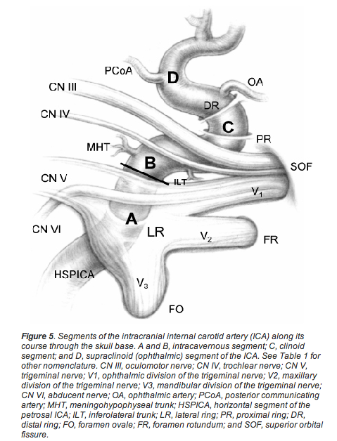 Ten Things That I Learned Today
