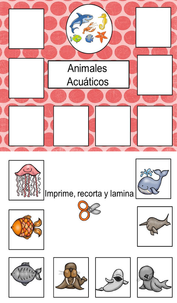 Tableros Clasificar por Categorías