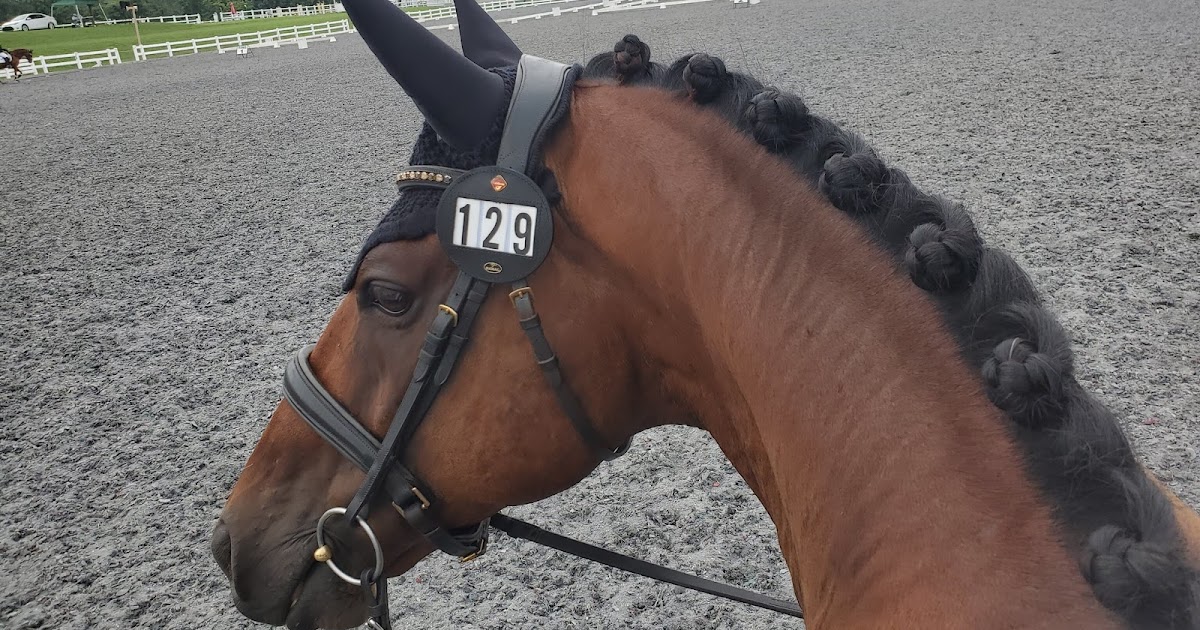 Loch Moy III: Surviving The Slump