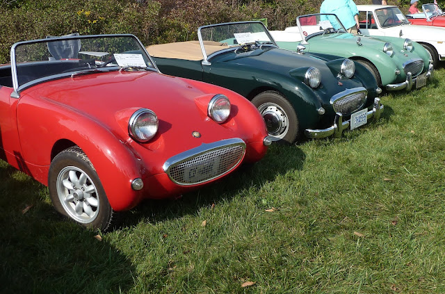 Progress is fine, but it's gone on for too long.: Austin Healey Sprites