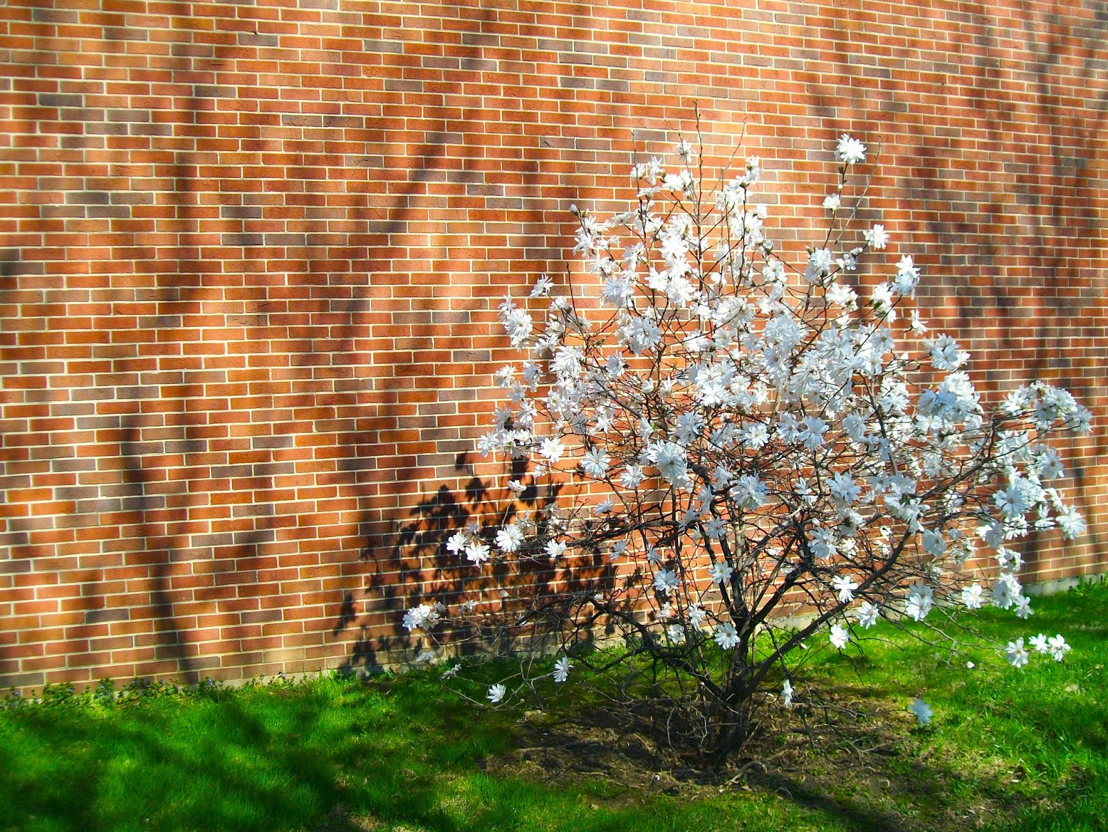 documentary project spr. 14: Documenting Winter turning to Spring