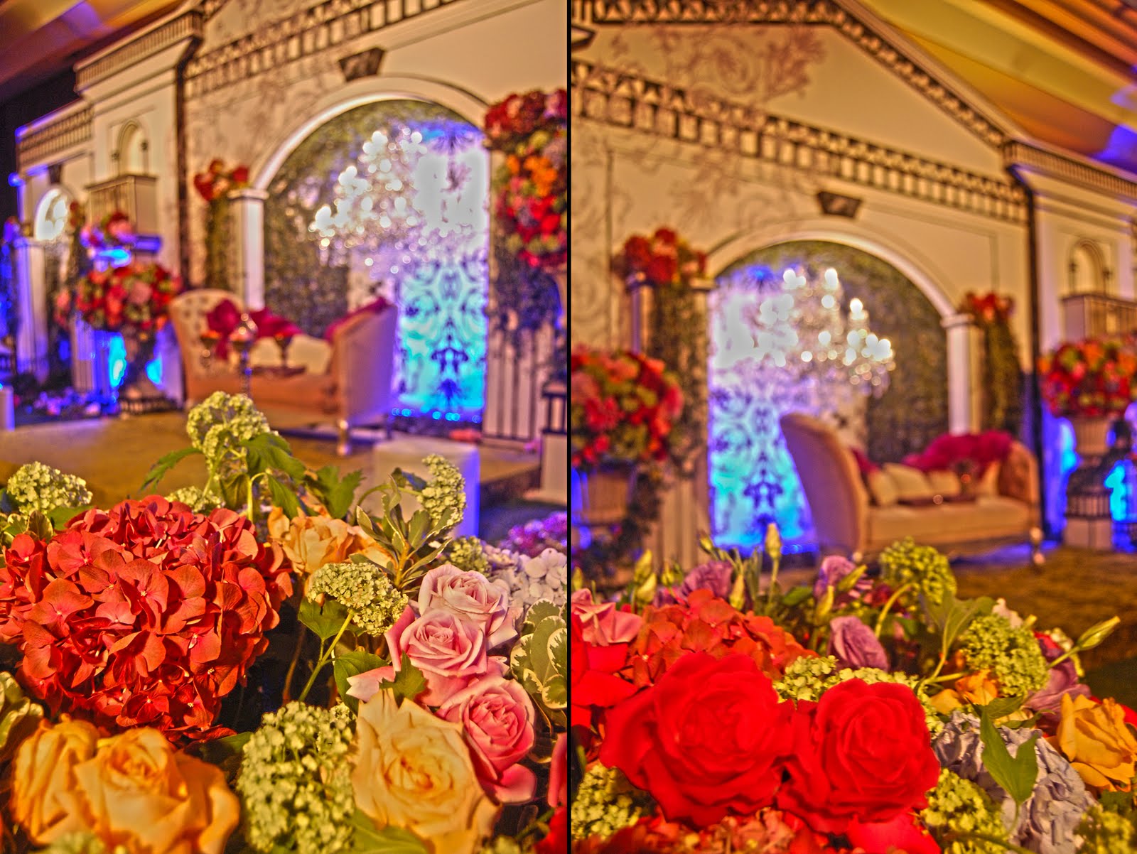 Flora, Etc...: capulet's orchard