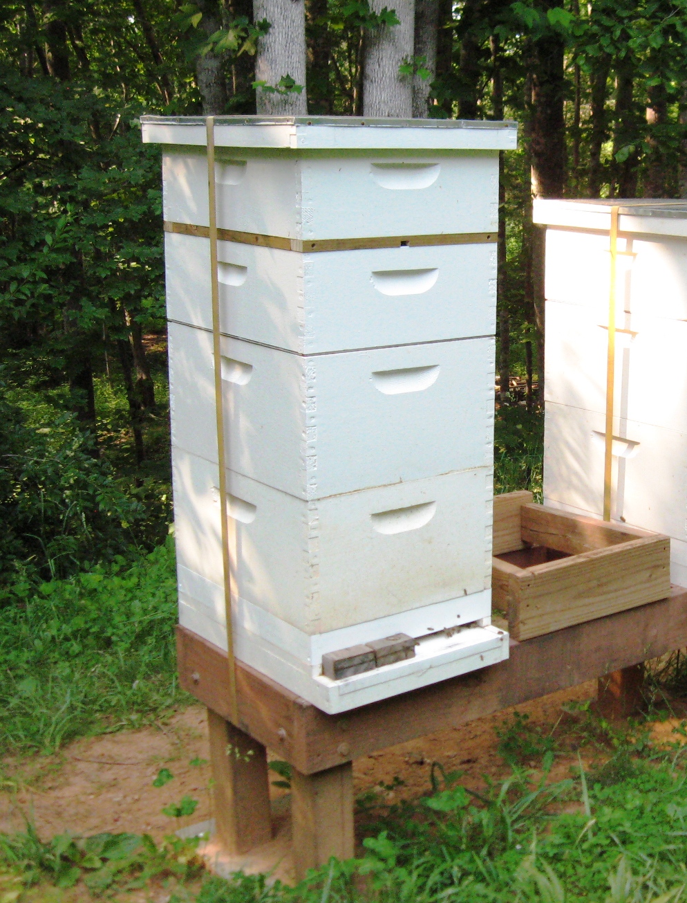 Beaver Creek Bees: More Honey Supers