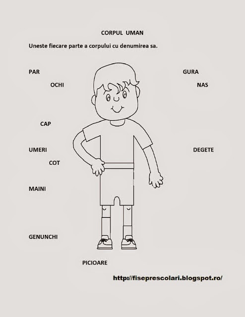 CLASA NOASTRĂ: CORPUL OMENESC : Stiati ca...?