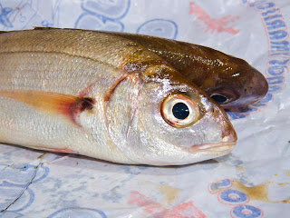 Recetas elegidas: Besugo a la espalda con verduritas