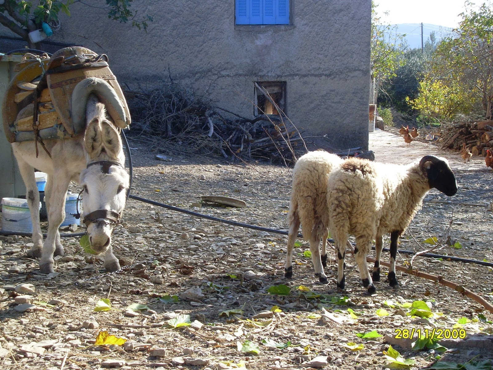 Διεκδίκησε τον σεβασμό που σου αξίζει, μην αφήνεις τους άλλους να σε ...
