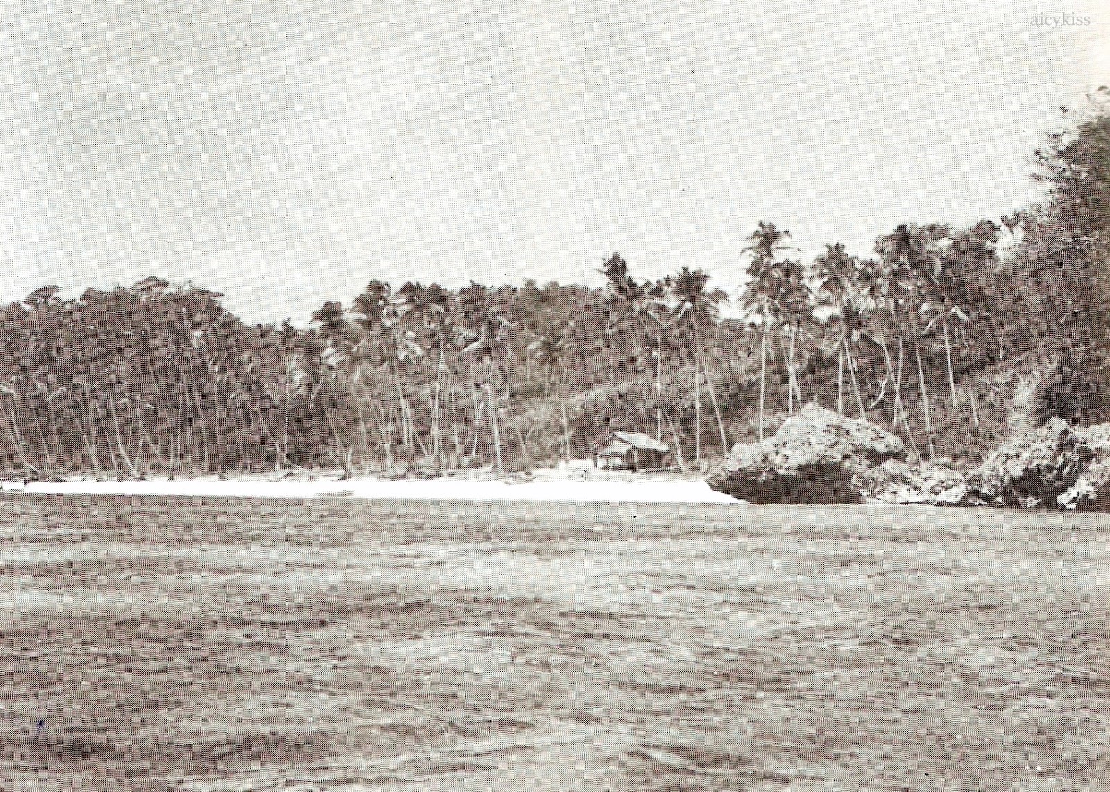 FRENCH LIVING IN THE PHILIPPINES: REMEMBER ... THE OLD BORACAY