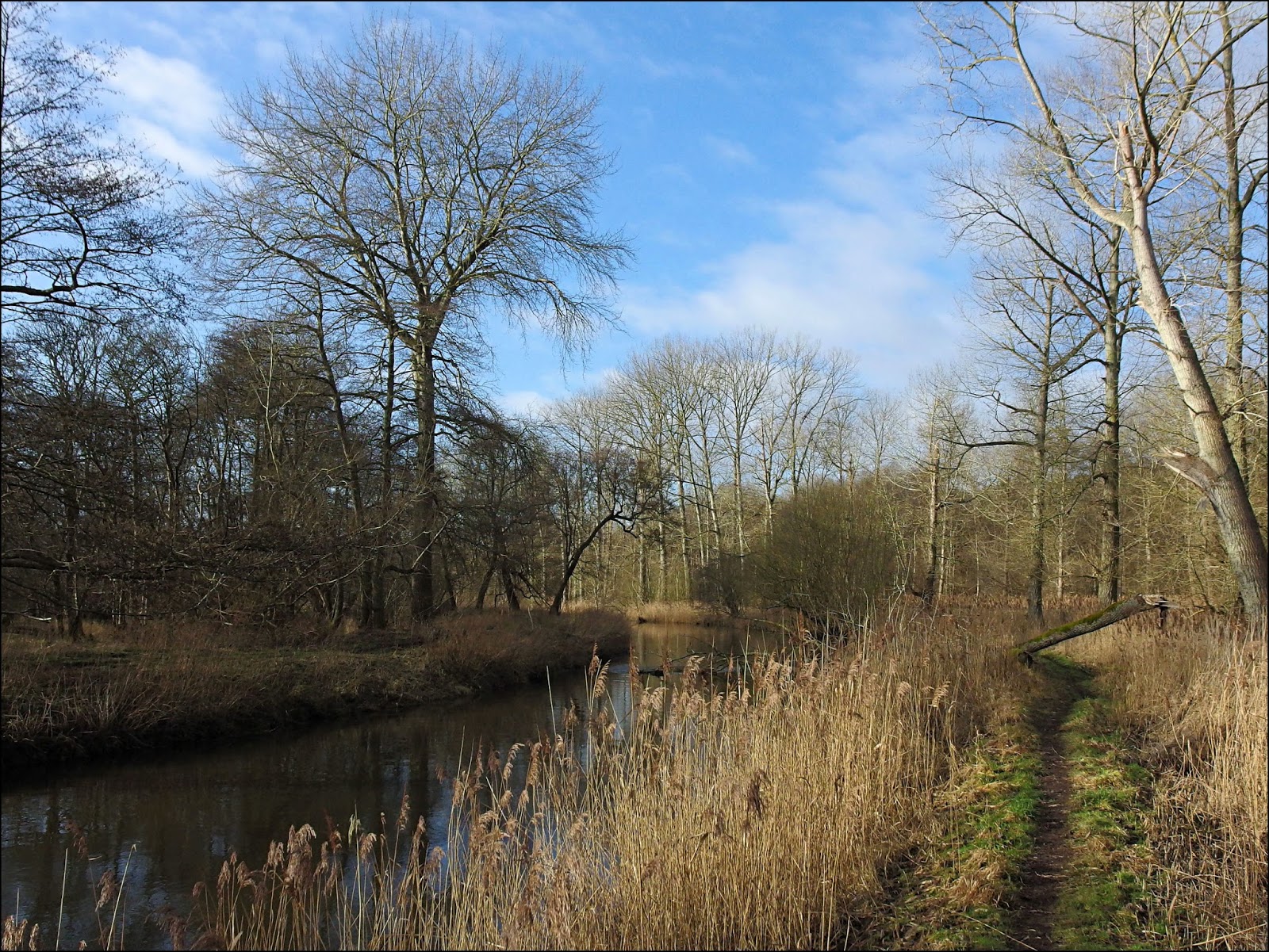 "By Stargoose And Hanglands": Santon Downham