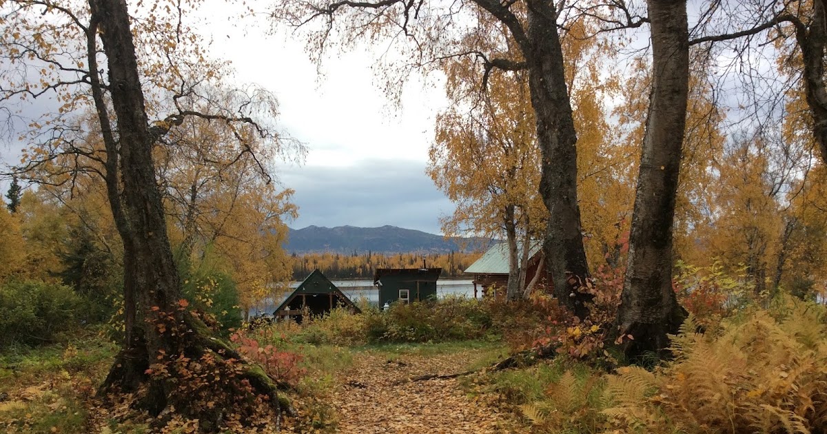 Alaska Bush Life, Off-Road, Off-Grid: September at a Remote Alaska ...