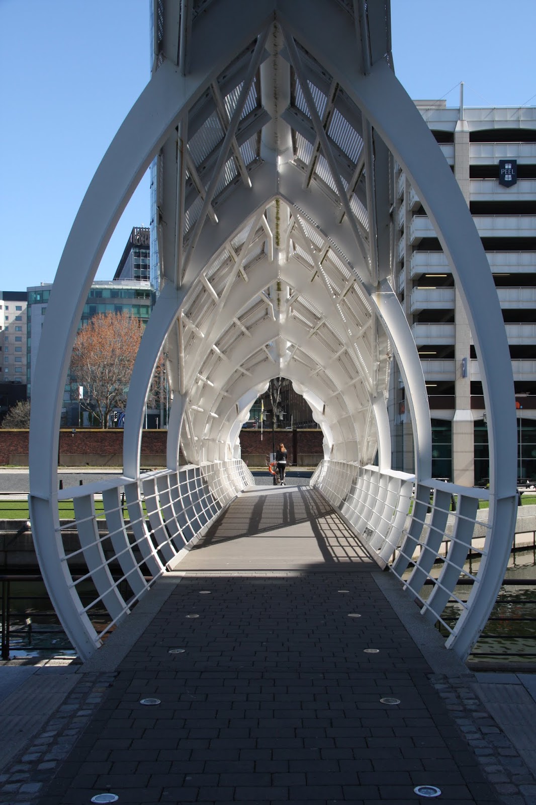 magpie bridge: MAGPIE AT THE WINDOW
