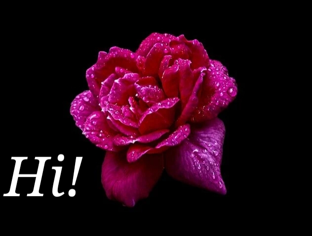 Top 10 Hi Images, Photos, Pictures, Greetings for WhatsApp - Good Morning