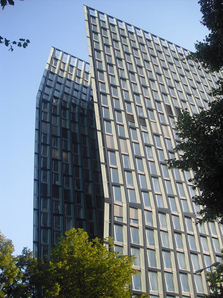 DEGENERACION MACULAR : OCT en DMAE seca