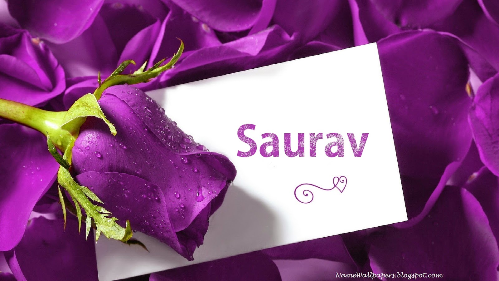 Saurav Name Wallpapers Saurav ~ Name Wallpaper Urdu Name Meaning Name