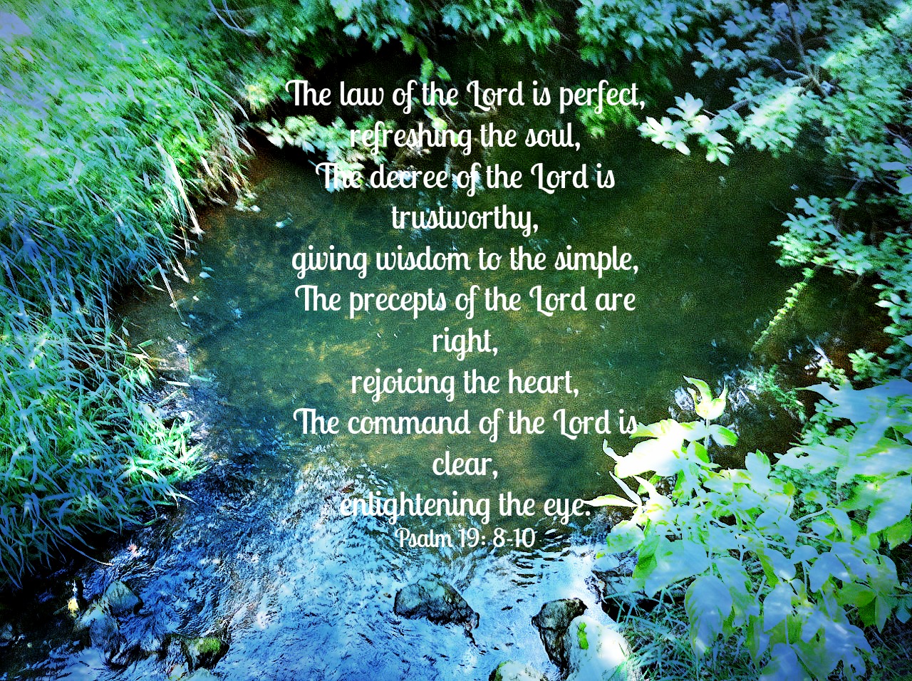 His UnEnding Love Psalm 19 8 10