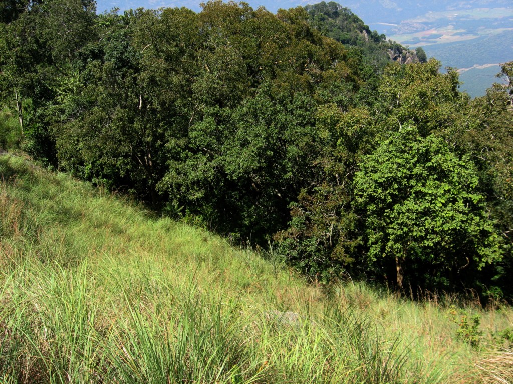 Tamilnadu Tourism: Muthaliar Oothu, Shenbagathoppu, Srivilliputhur ...