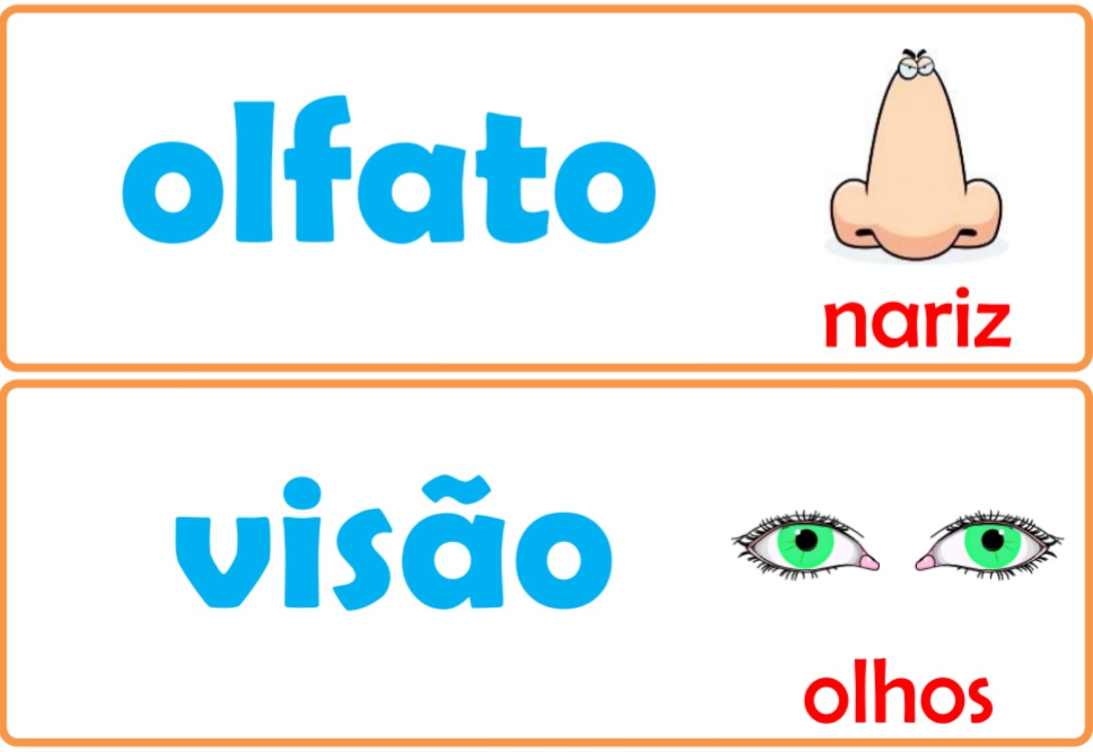 Os cinco sentidos Cards coloridos e ilustrados com os cinco sentidos ...