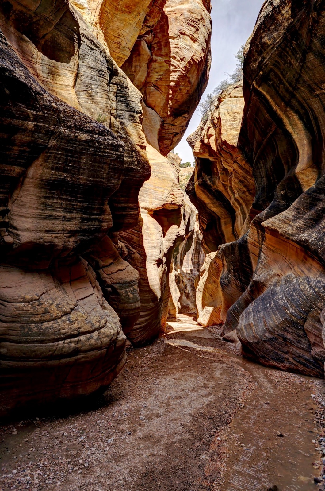 Earthline: The American West: Willis Creek Narrows and Bull Valley ...