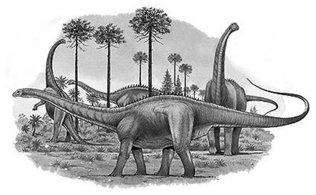 DINOSAURIOS CON SELLO CHILENSIS: ATACAMATITAN & MASTODONTE