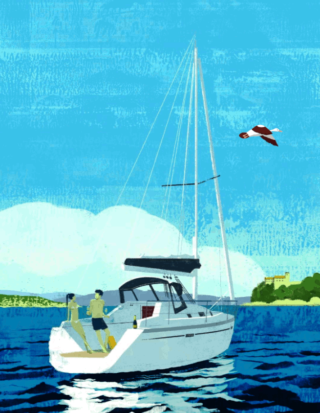 ChiquitoyMUNDOanimado: CONSERVACIÓN DE AVES MARINAS - ROMANTICISMO DE ...