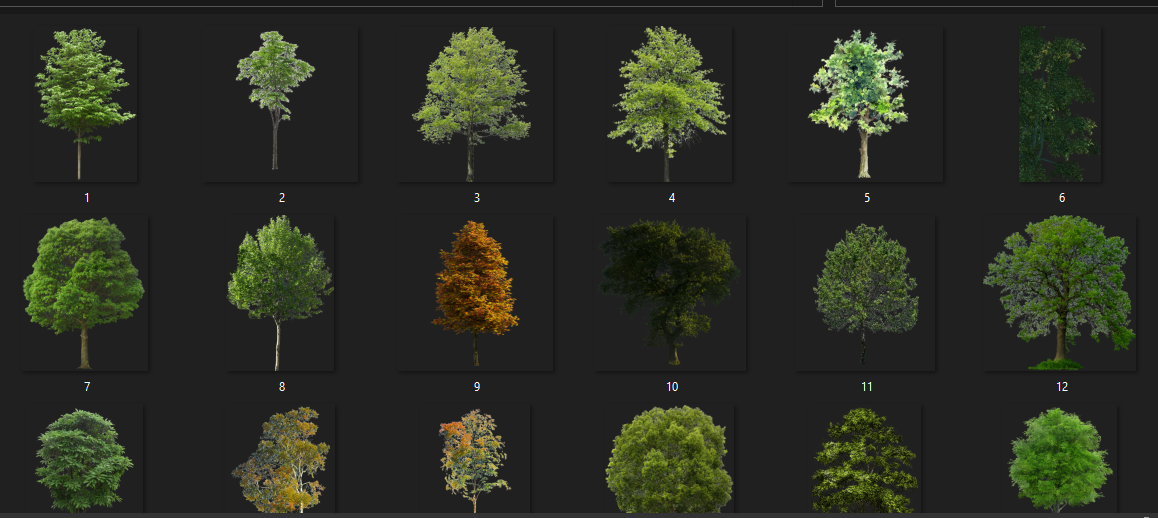 Png Ağaç Fotoğrafları İndir | Download Png Tree Photos