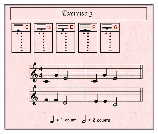 Amazing Recorder: Lesson 9 - Learning to Play Low D