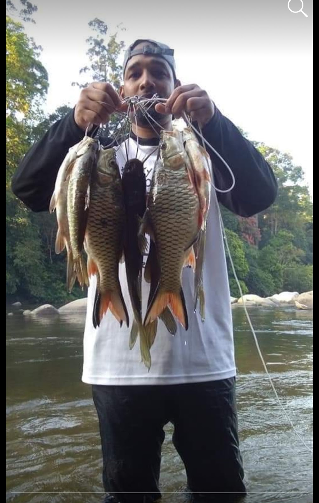 Tajuddin Mohd Ali: IKAN FRESH DARI GERIK AKAN BERADA DI KL!