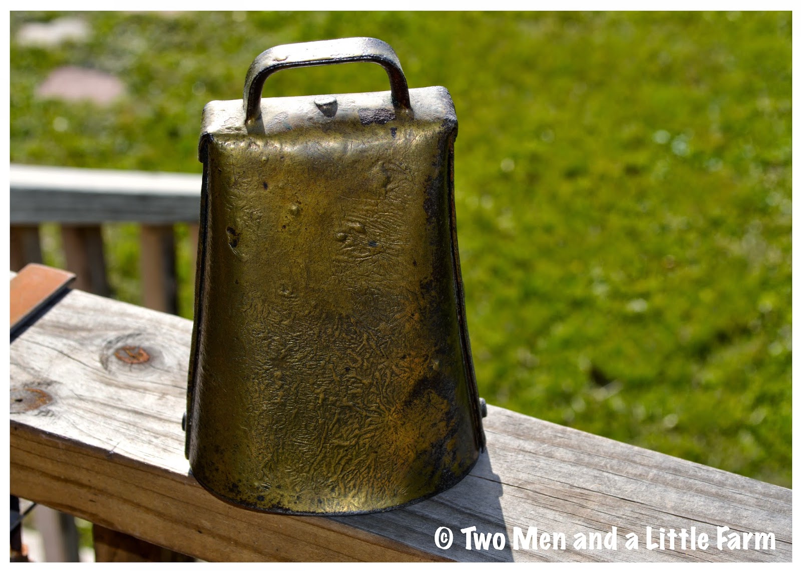 Two Men and a Little Farm: MORE COWBELL