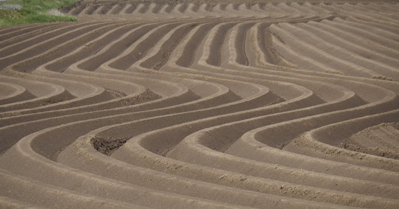 PhotoReflect: Lincolnshire potato ridges