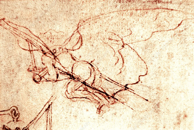 A Short History of Flight - Man tries to fly like the birds | Knowledge ...