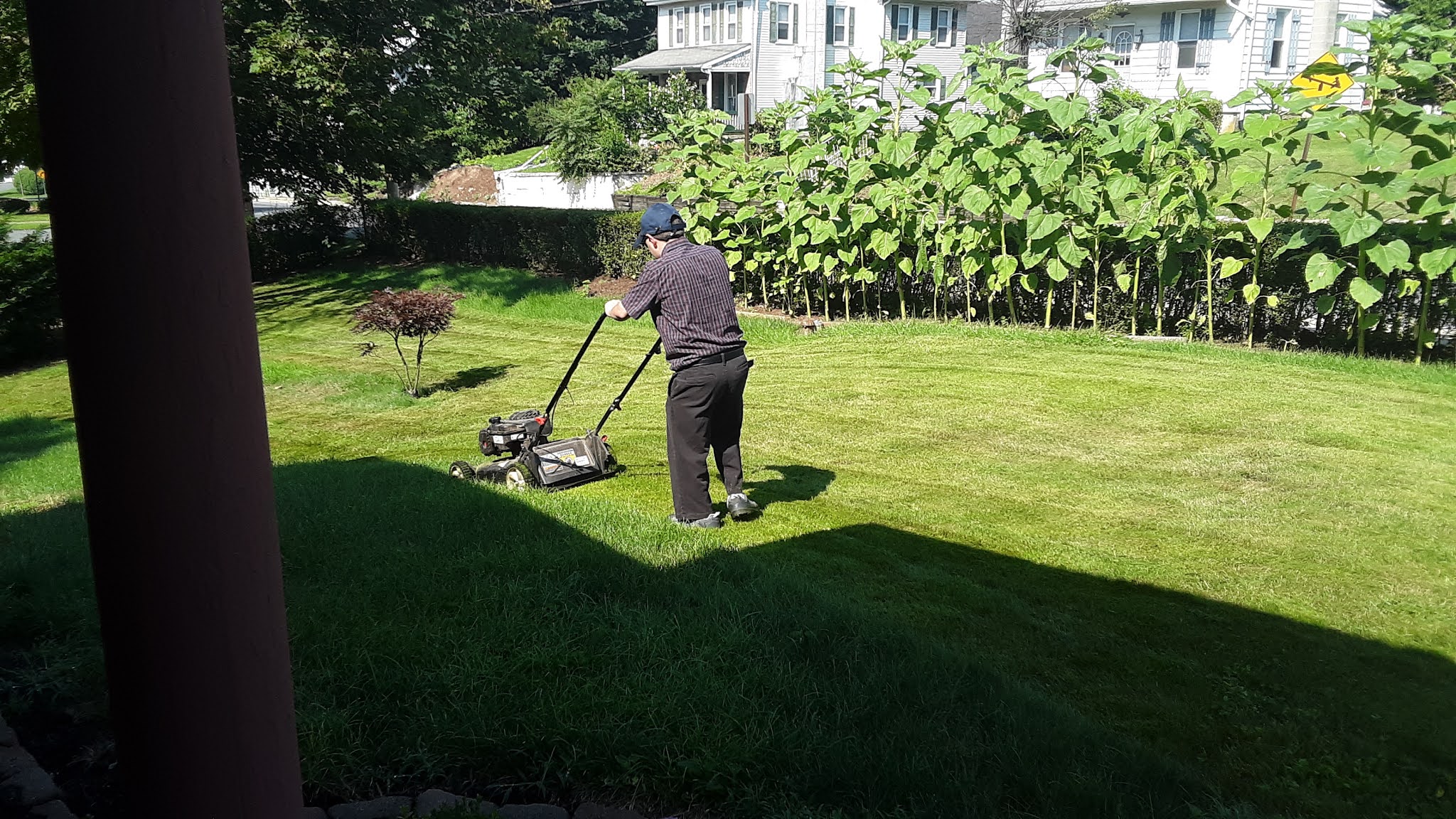 Floating Harbor Syndrome Support Group