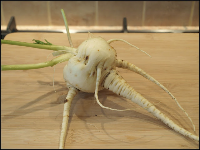 Mark's Veg Plot: Success with Parsnips (or not)
