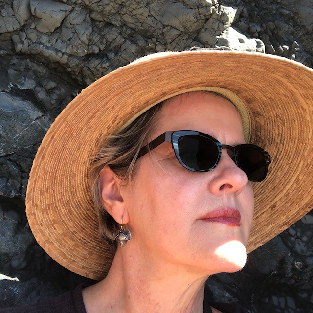 G U E S T: Elizabeth Robinson : issue eleven : Introduction